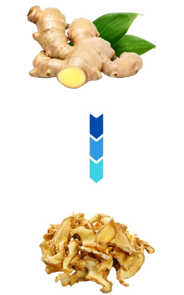 Dehydrated Fruits and Vegetables Processing Lines