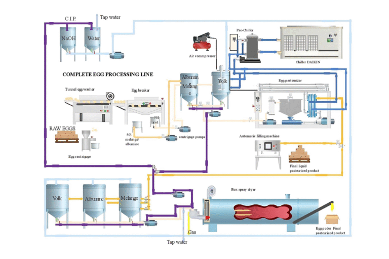Egg Processing Plant