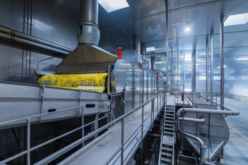Frozen French Fries Processing Line